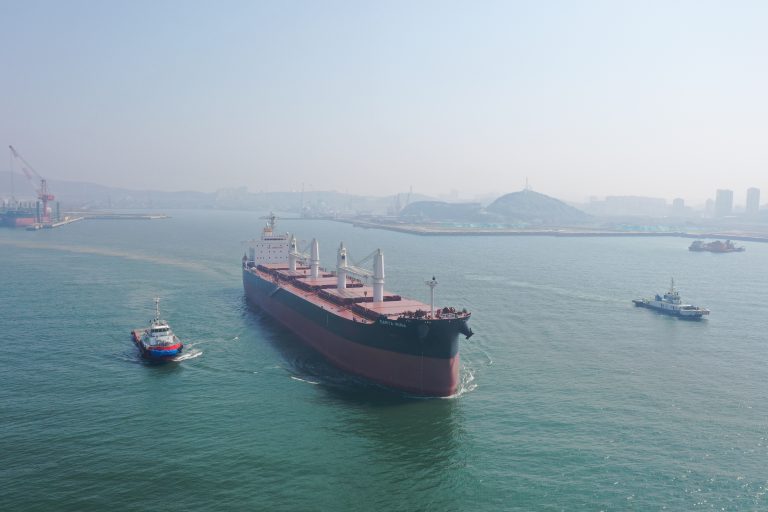 Darya Mira | Chellship