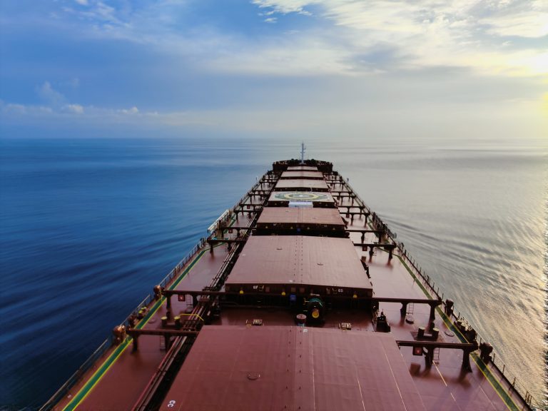 Darya Rashmi | Chellship